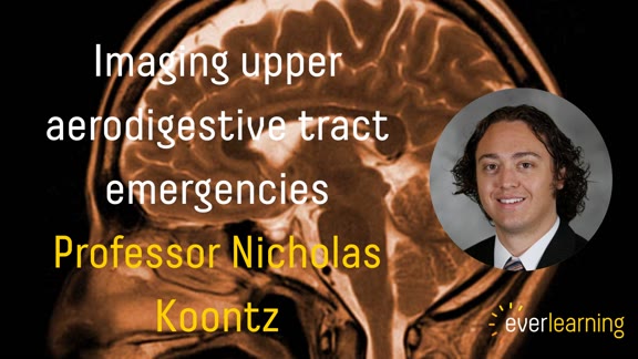 everlearning Webinars